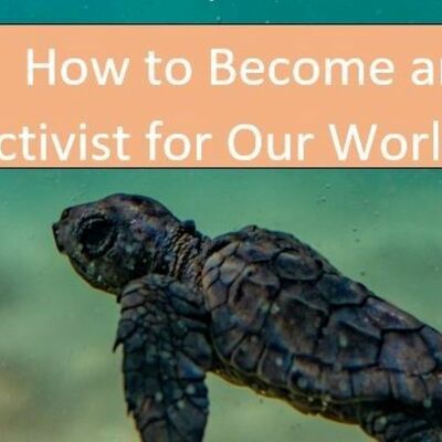 Enrollment Link for How to become an Activist for our World—and How to ...